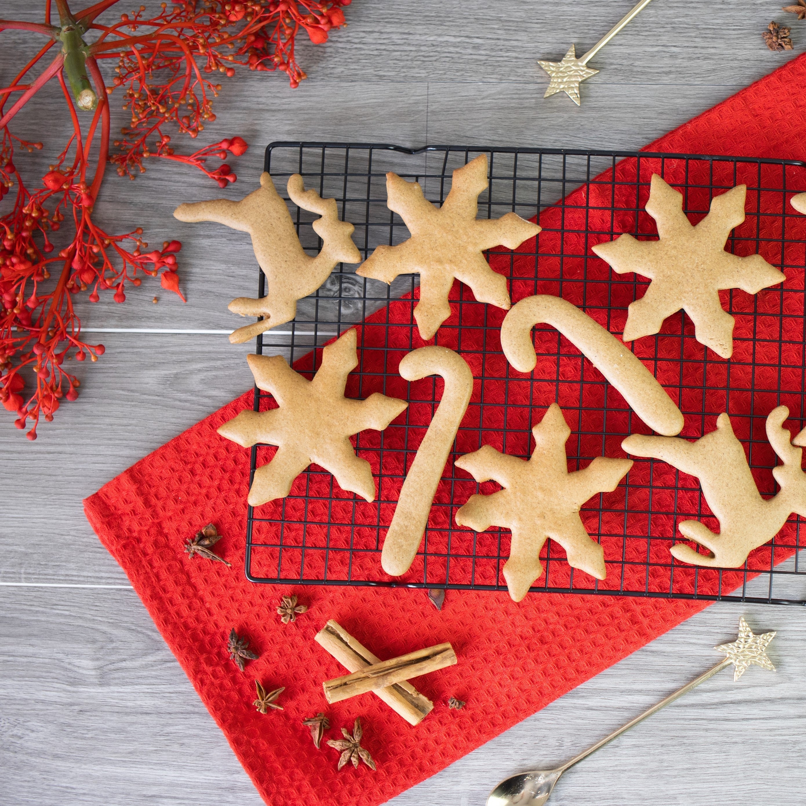Jolly Gingerbread Cookies Recipe – Morlife AUS