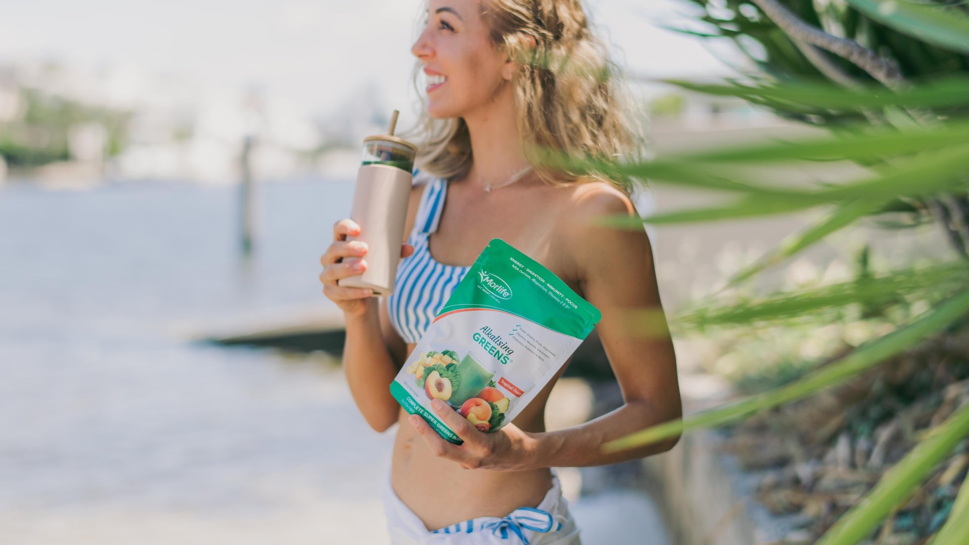Wheat Grass vs Barley Grass - How To Choose Your Super Greens – Morlife AUS
